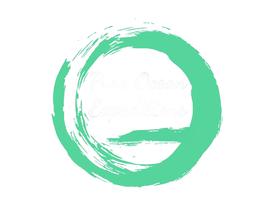 Pure Ocean Expeditions | Exclusive, Expert-Led Ocean Adventures